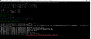 Responsive Testing Of A Locally Hosted Website | A Complete Guide ...