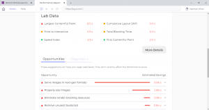 11 Reasons Why Developers Should Use LT Browser