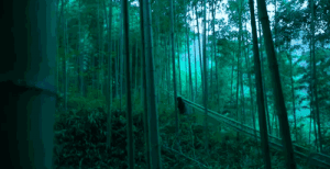 How To Setup CI/CD Pipeline With Bamboo For PHP Projects | LambdaTest