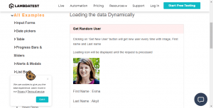 Selenium WebDriver: JavaScript Screenshot Guide | LambdaTest