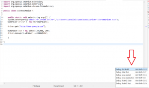 How To Use Breakpoints For Debugging In Selenium WebDriver