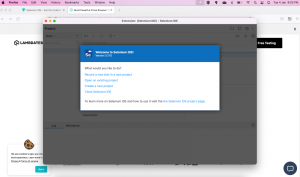 Selenium Standalone Server and Selenium Server [Differences]