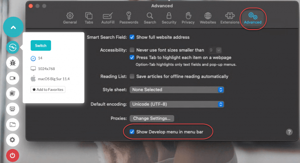 How To Inspect Elements On iPhone? | LambdaTest