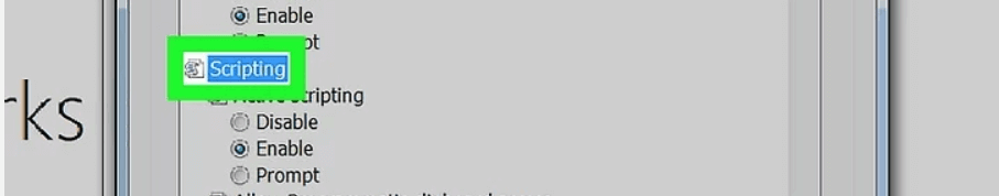 How to enable JavaScript in Internet Explorer?