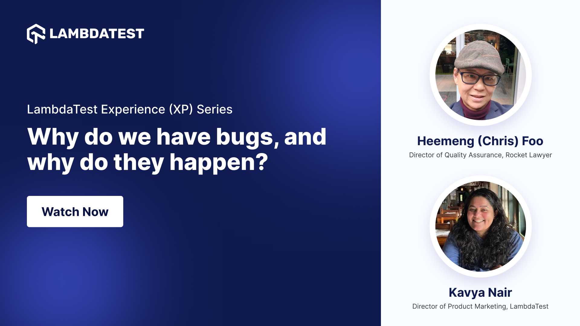 Why Do We Have Bugs, and Why Do They Happen?